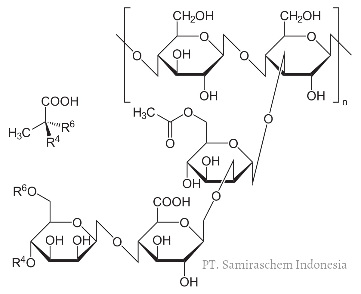 Struktur atom Xanthan Gum merupakan interaksi antara molekul.